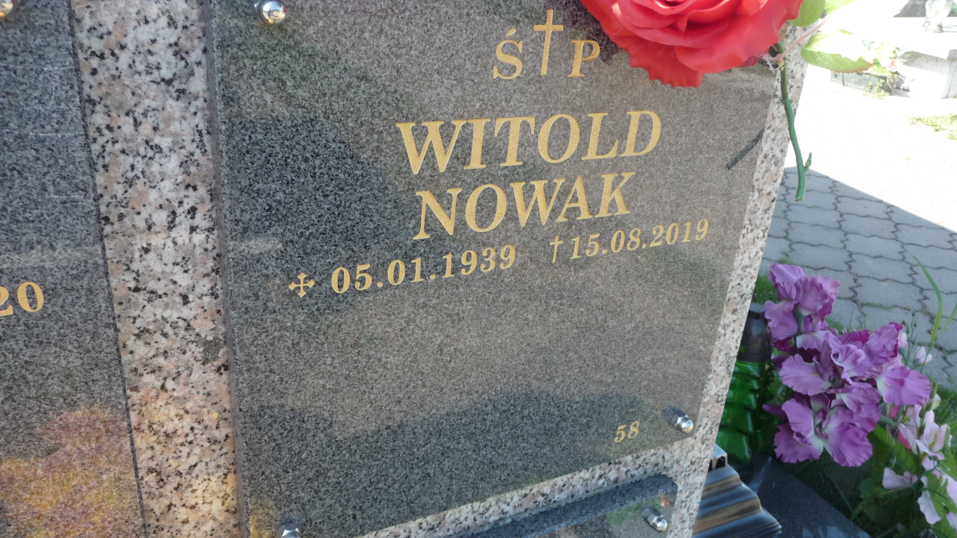 GROBONET - wyszukiwarka osób pochowanych - Parafia Katedralna pw ...